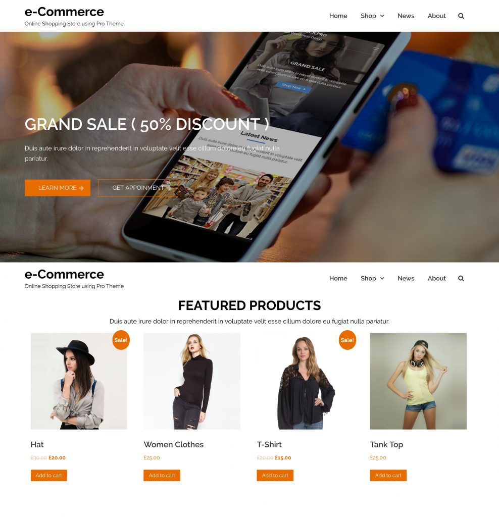 e-commerce-home - eVision Themes